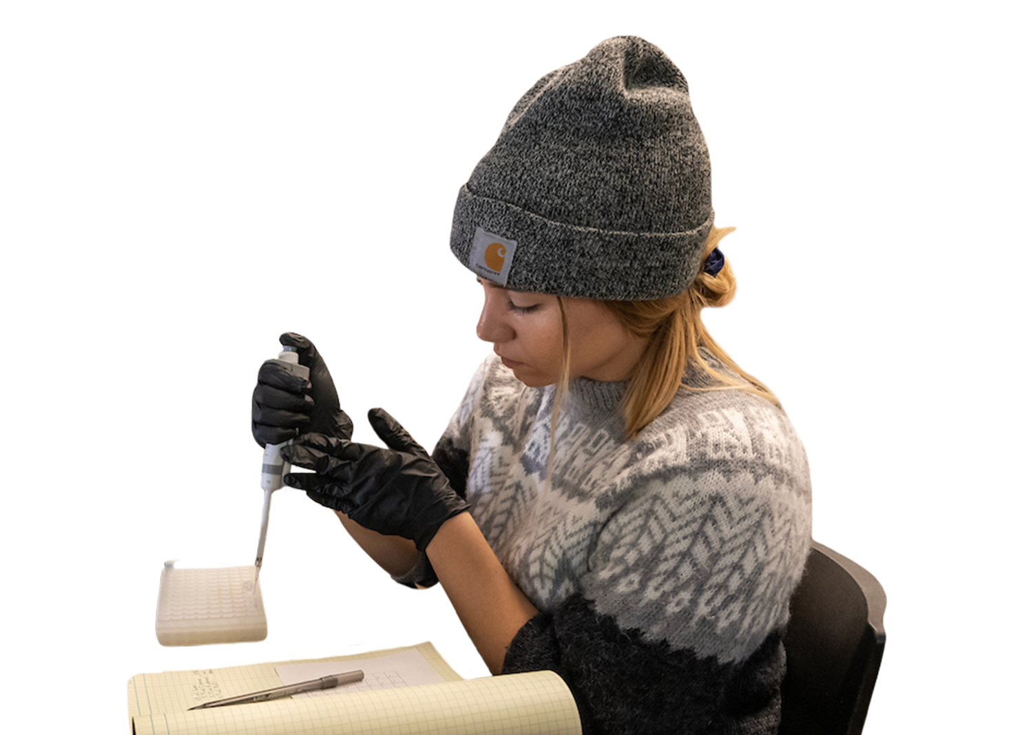 University of Montana